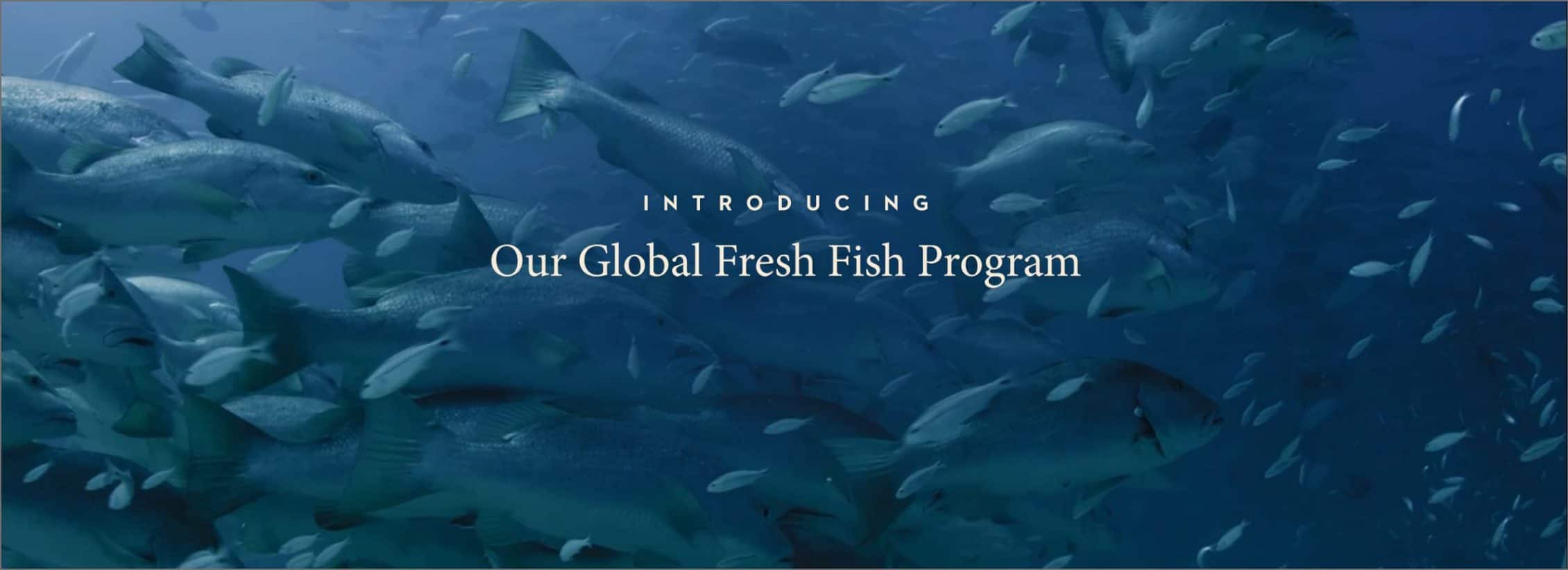 Global Fresh Fish Program | Holland America Line