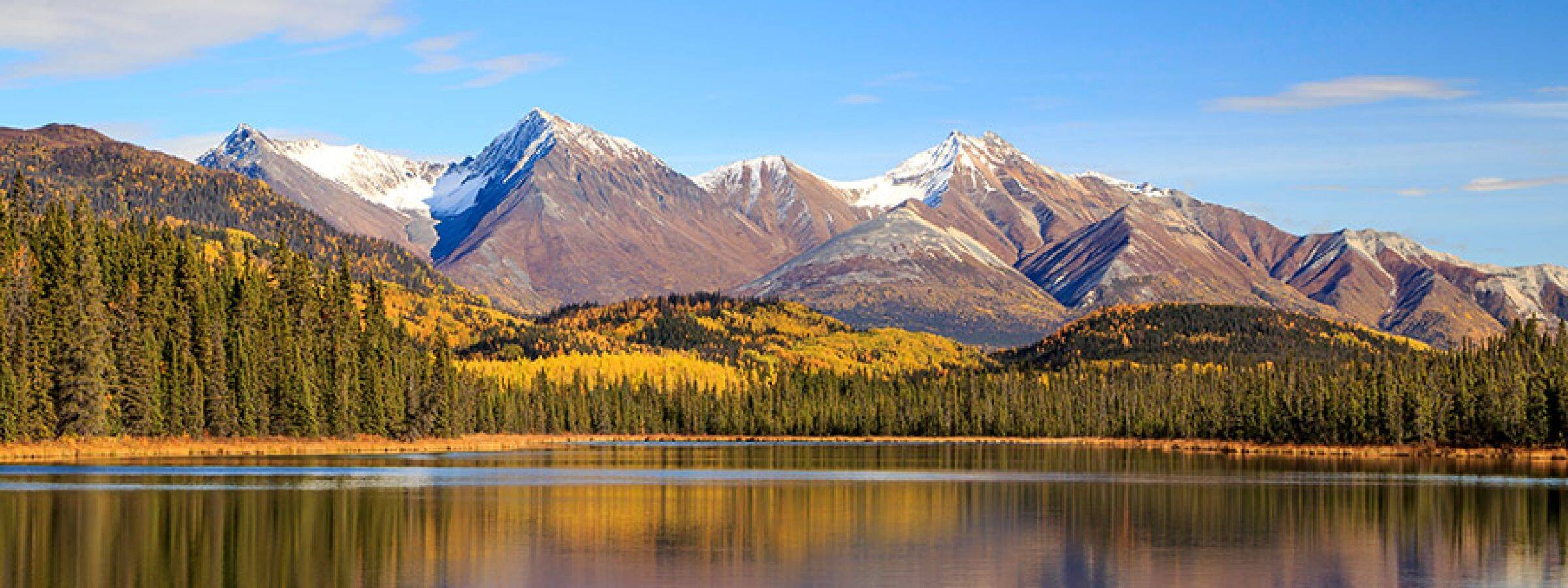 Last Minute Cruise Deals for 2024 and 2025 - Book Today!