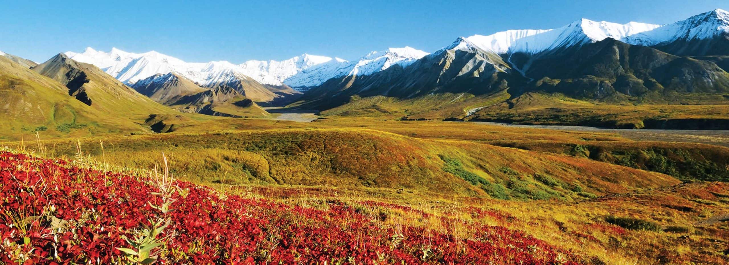 Alaska's National Parks: Explore Pristine Wilderness | Holland America