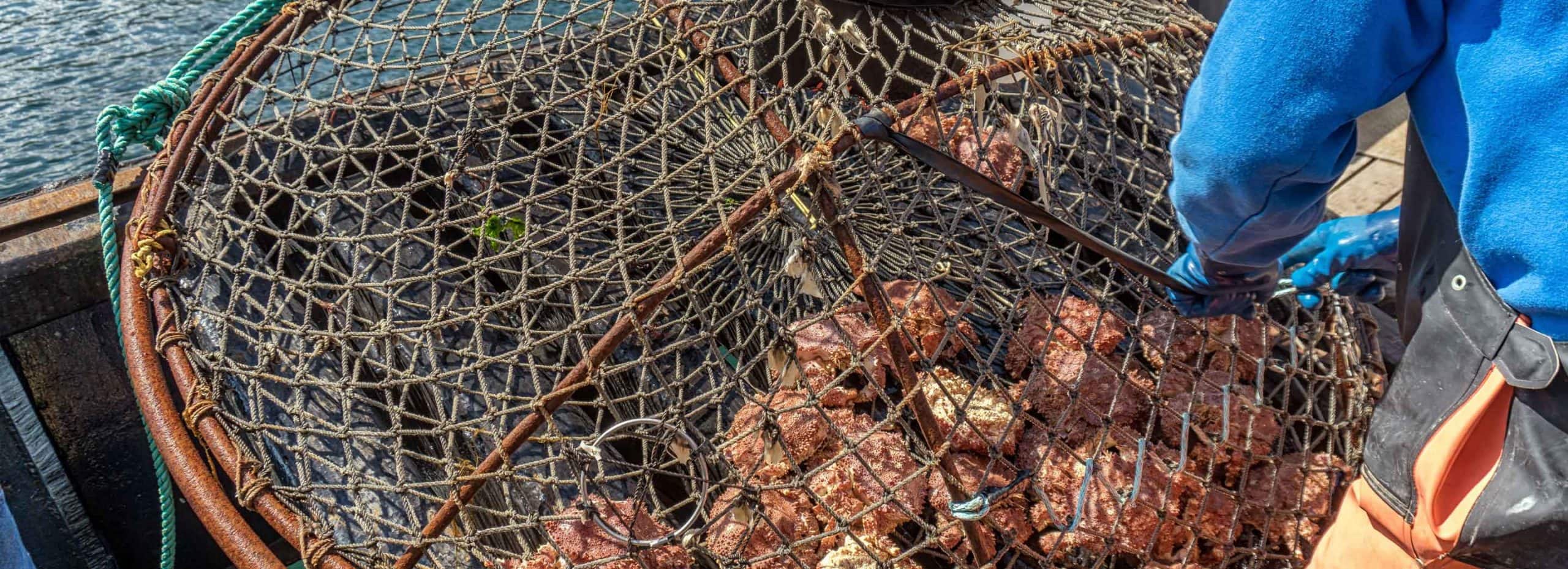 Bering Sea Crab Fishermen's Tour | Holland America Line