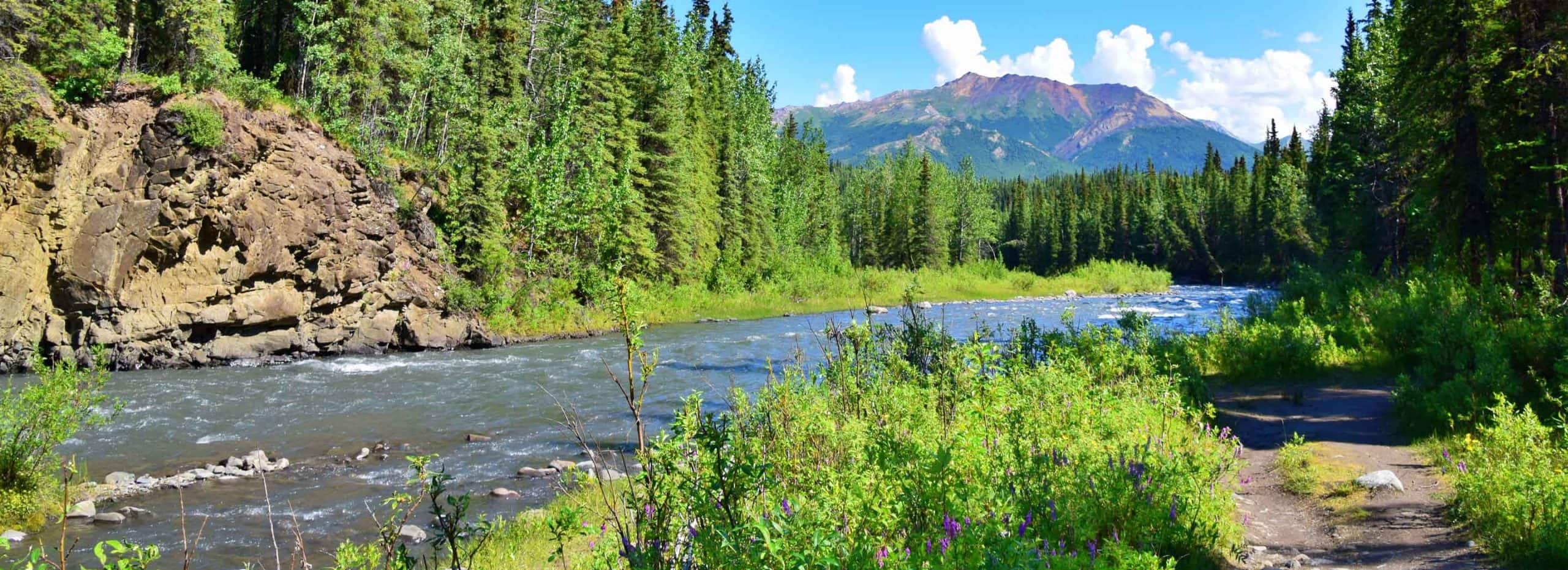 Alaska Denali Triple Lakes Trail | Holland America Line