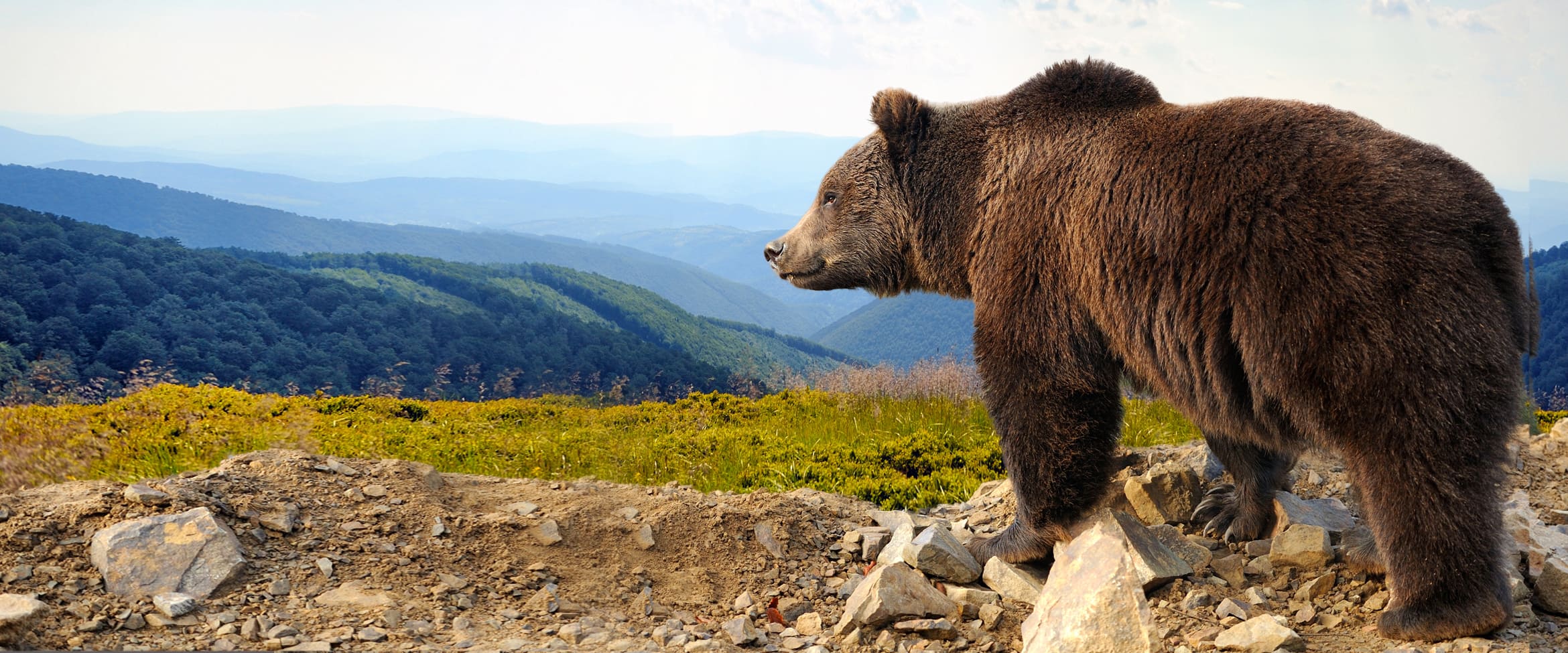 Top Things to do in Juneau, Alaska | Holland America Line