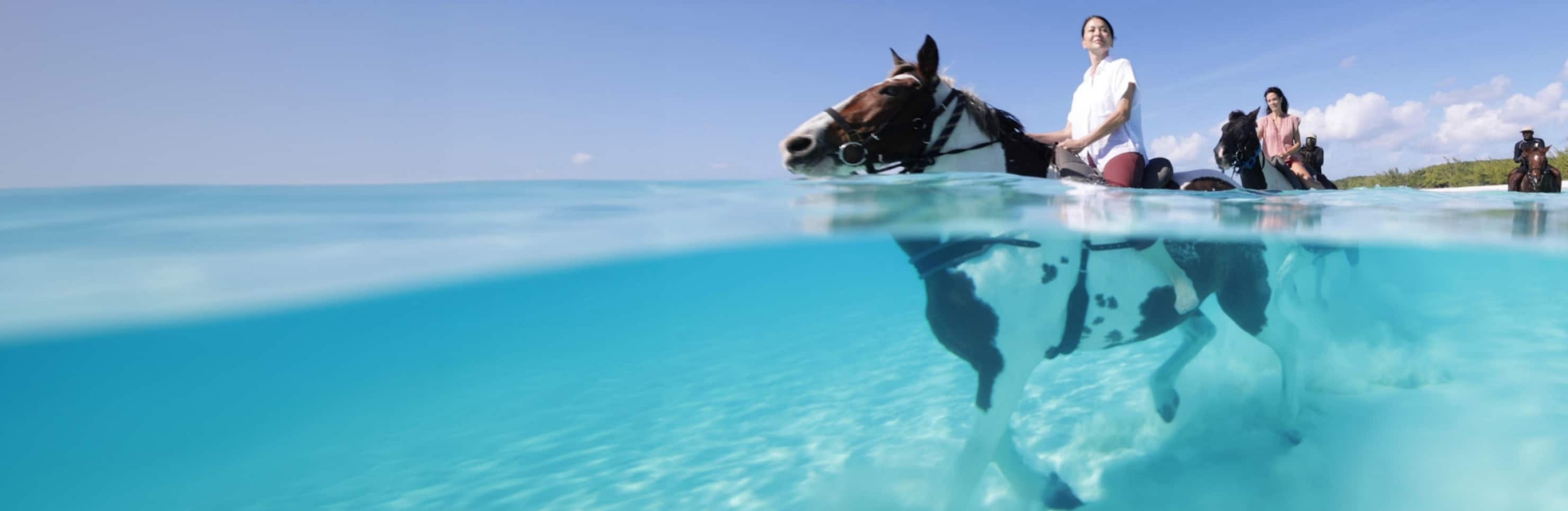 Horseback Riding by Land & Sea