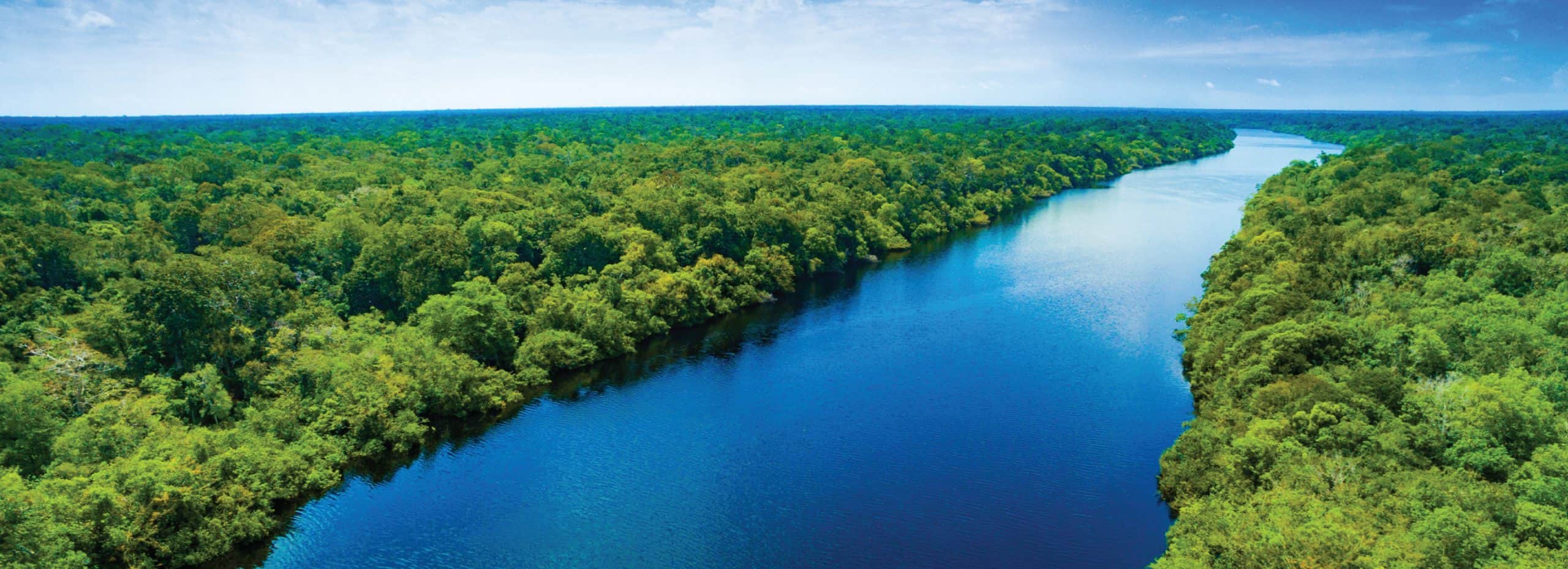 Amazon River Cruise: Memorable Journey