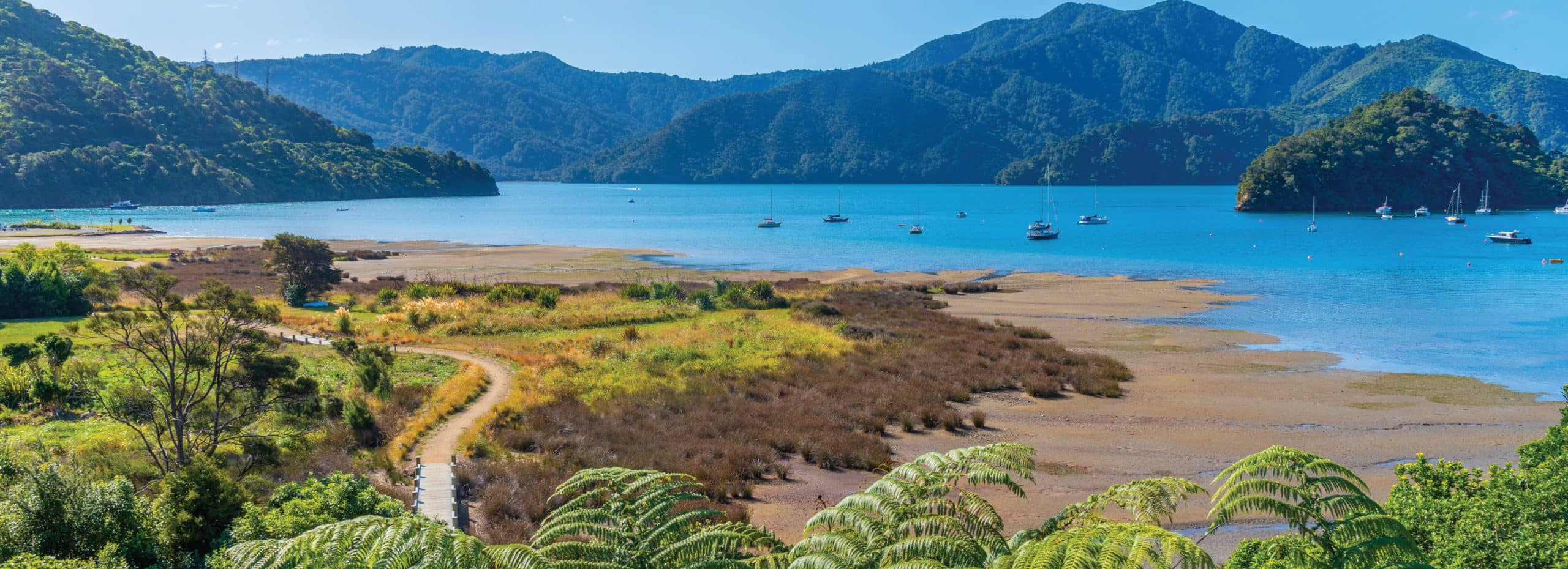 Scenic cruising Queen Charlotte Sound