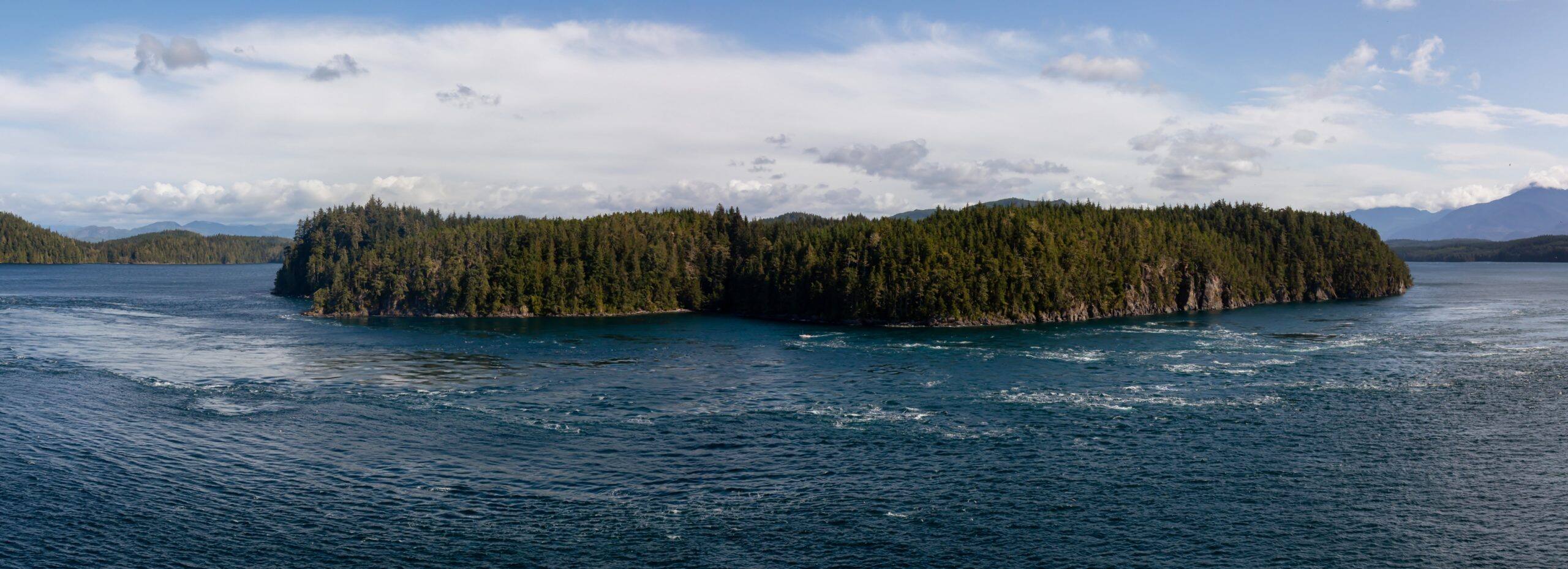 Scenic cruising Johnstone Strait
