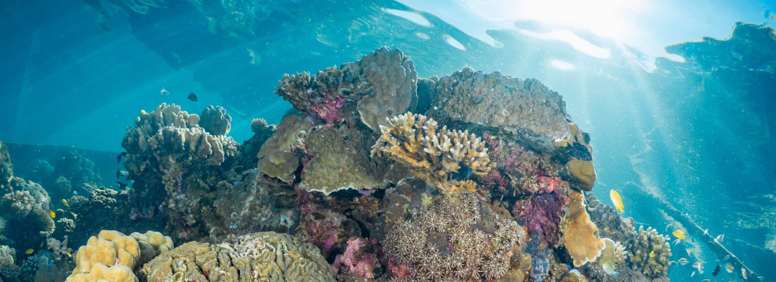 Alotau, Papua New Guinea