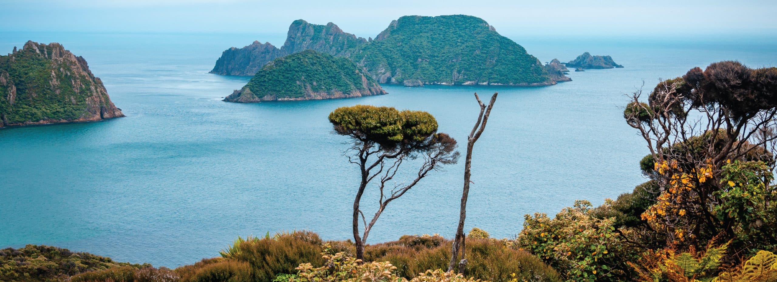 Oban, Stewart Island, New Zealand