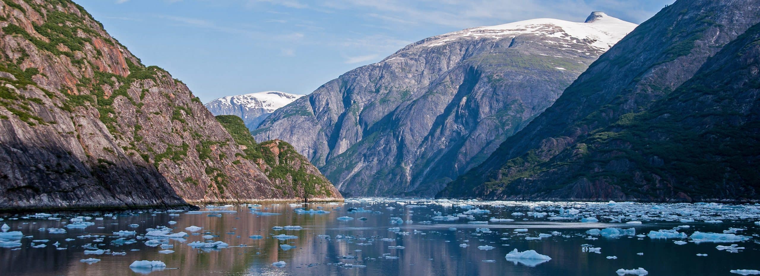 Tracy Arm Inlet