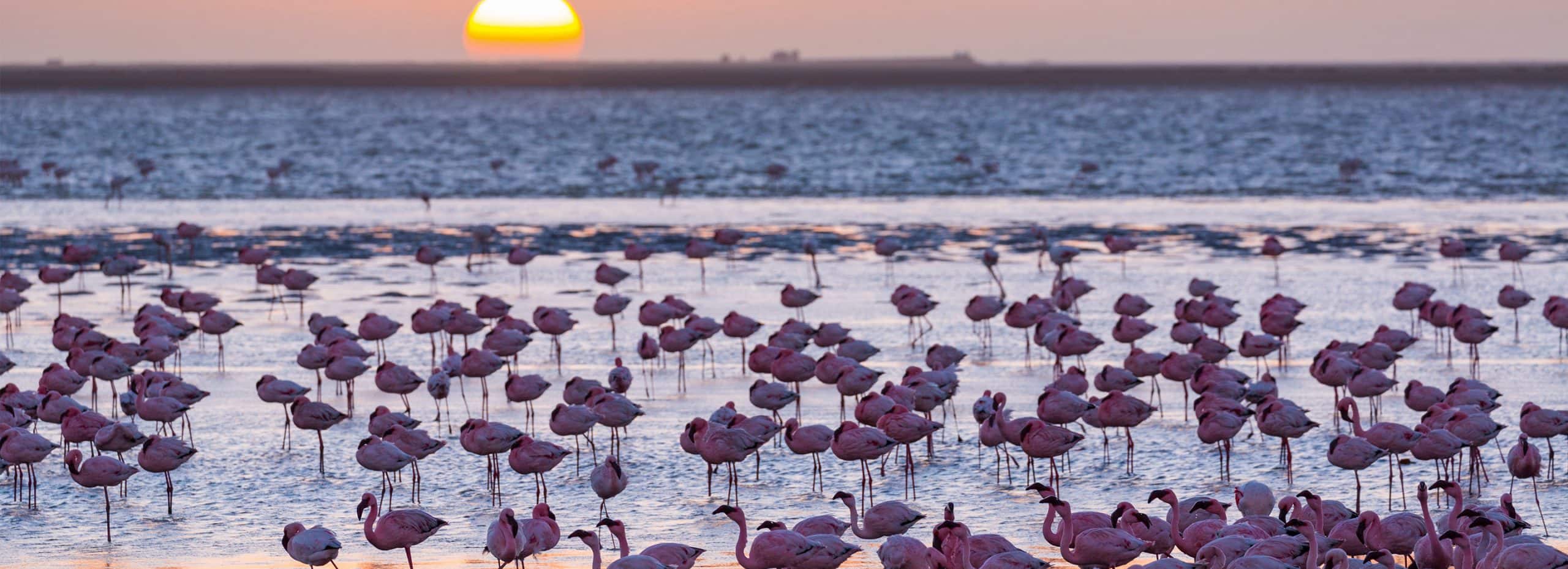 Walvis Bay, Namibia