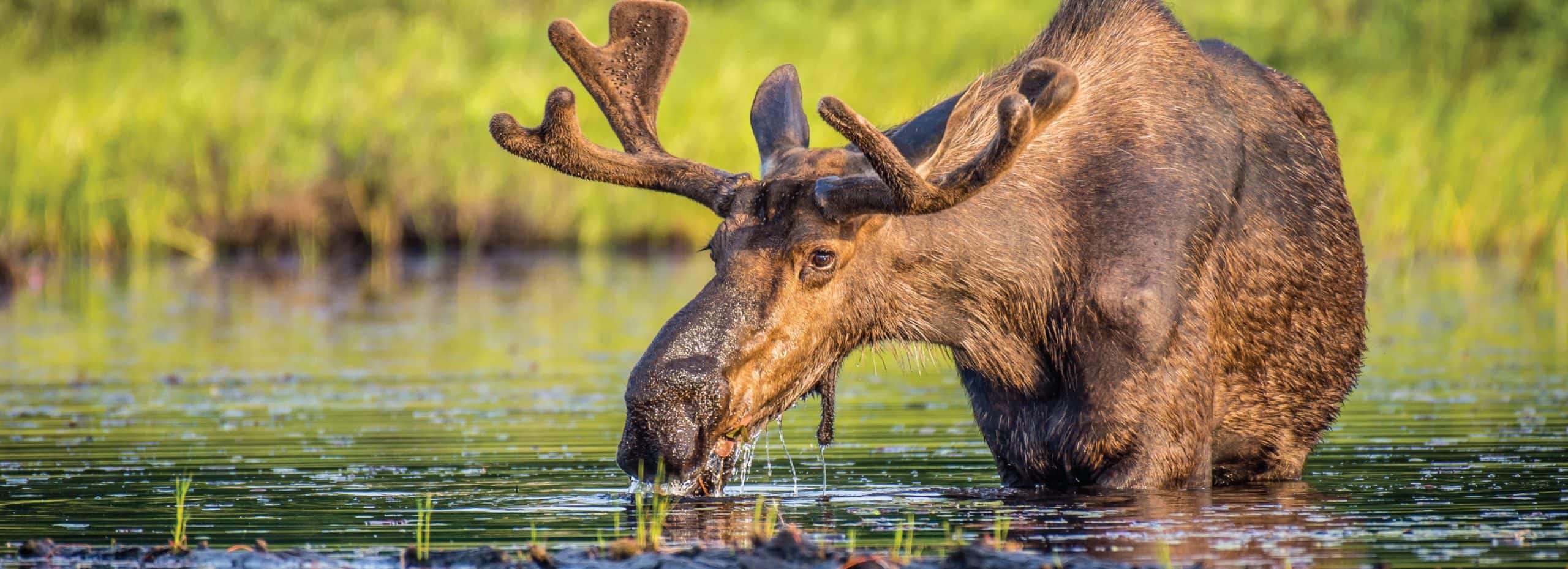 St Anthony, Newfoundland, Canada