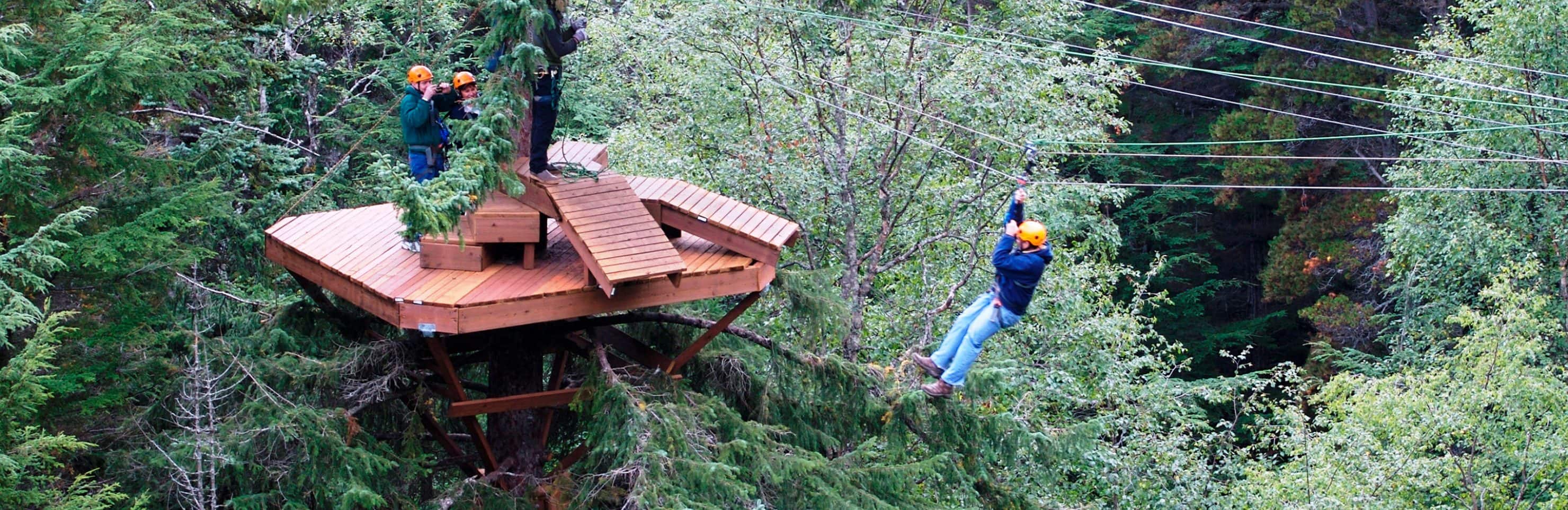 Adventure Park: Zip-Lining