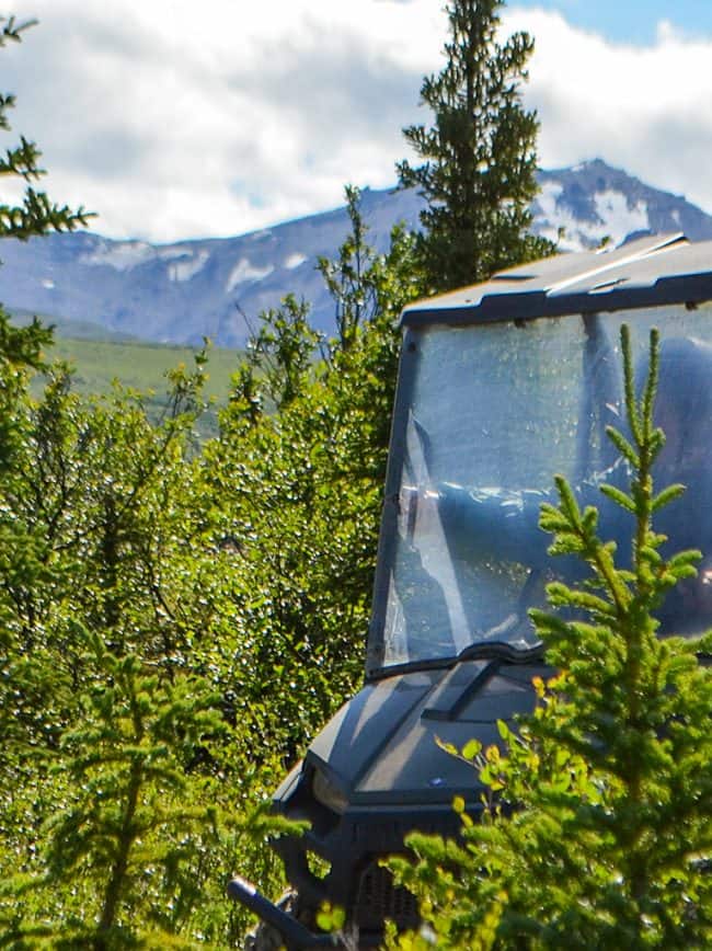 Cruises To Denali National Park, Alaska