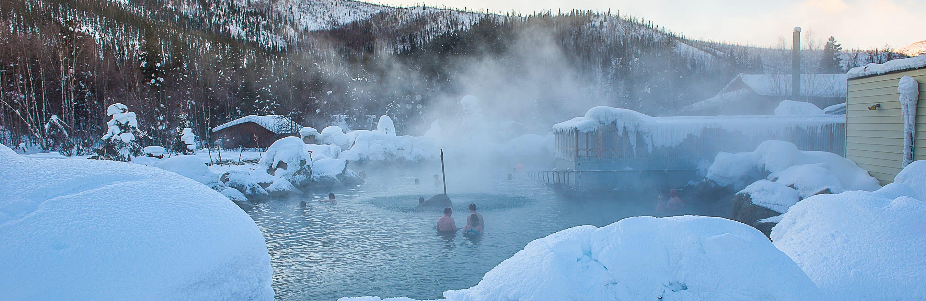 Chena Hot Springs & Ice Museum Tour