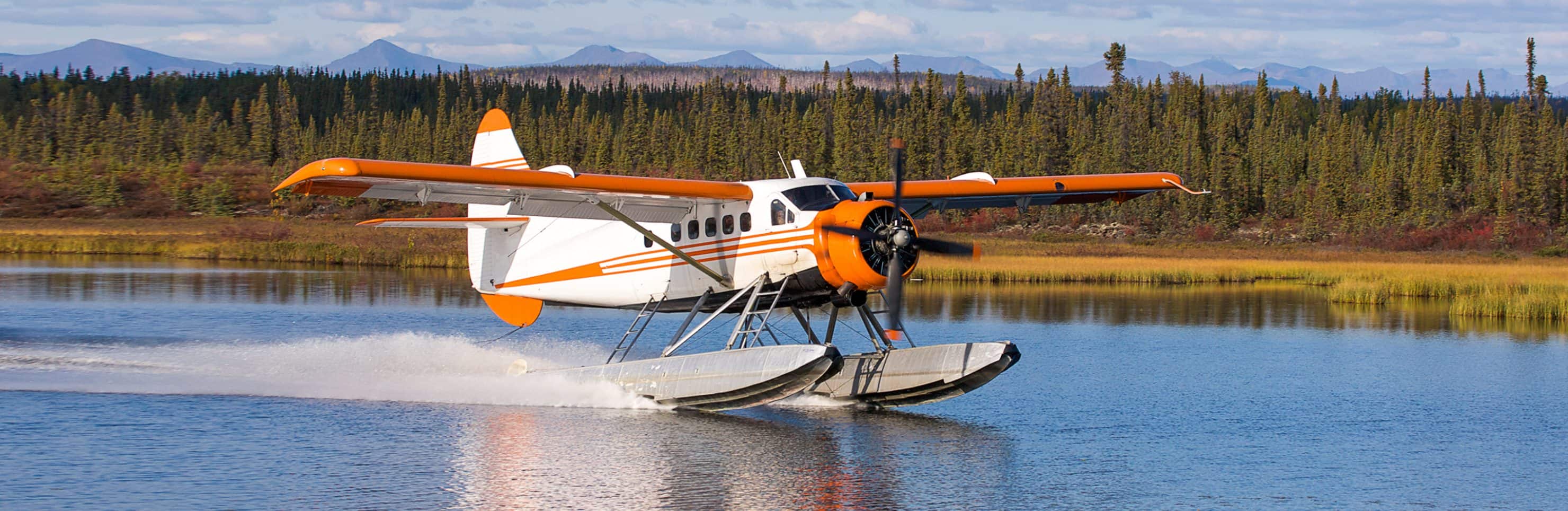 Cook Inlet Photo Experience (Intransit)