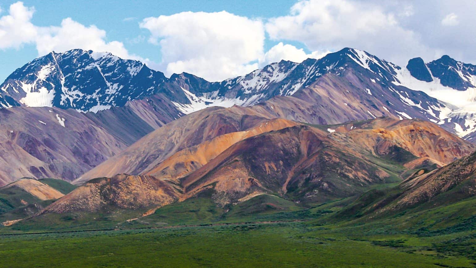 Cruises To Denali National Park, Alaska