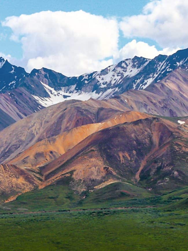 Cruises To Denali National Park, Alaska
