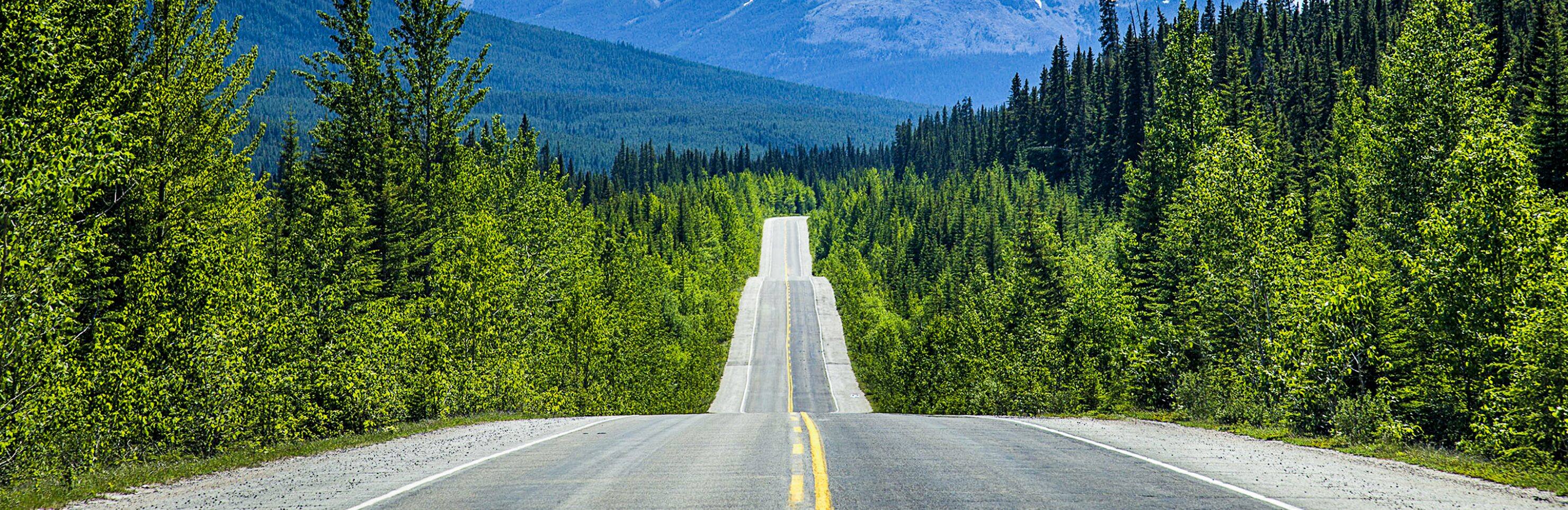 Interactive Self-Guided Jeep Adventure - Private 2 Door