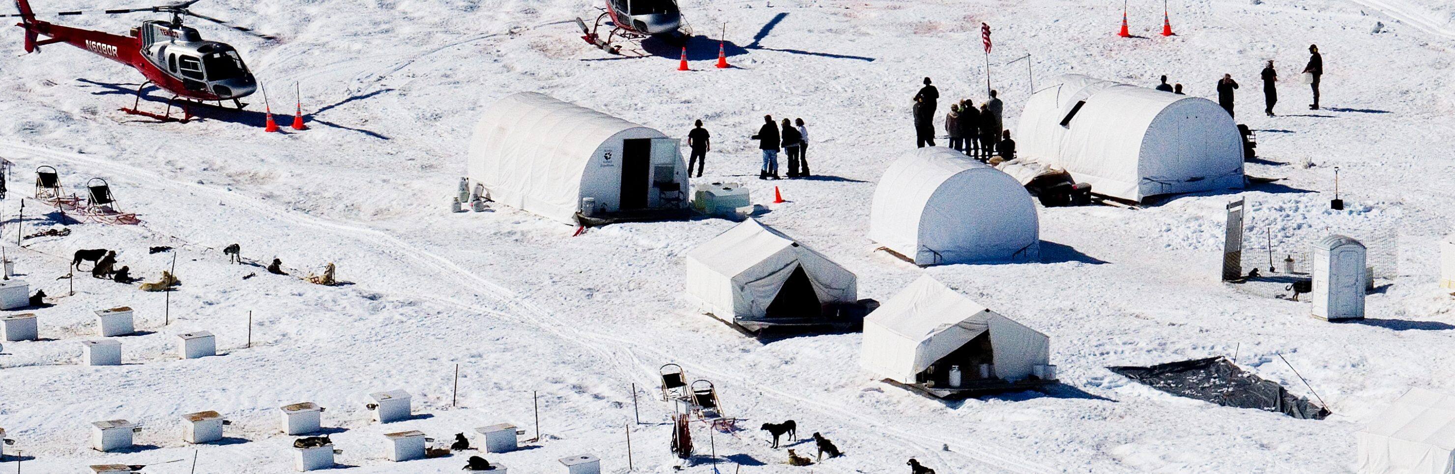 Dog Sledding on Mendenhall Glacier by Helicopter