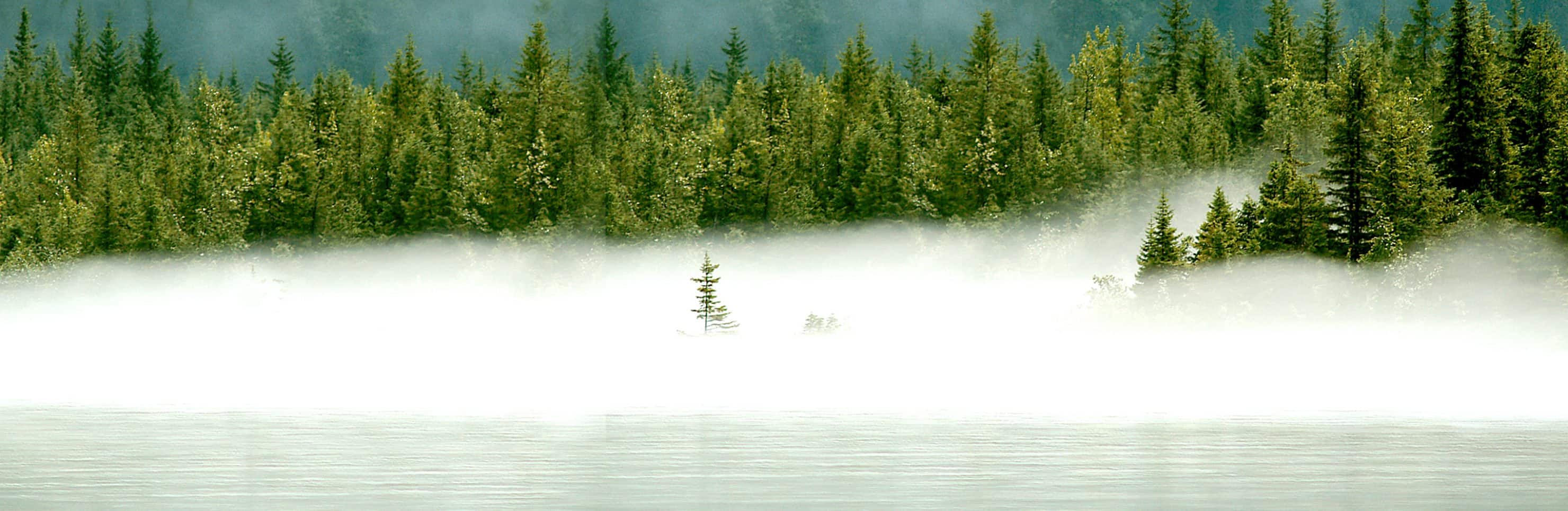 Mendenhall Glacier Guide's Choice Hike