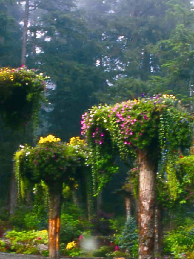 Cruises To Juneau, Alaska, US