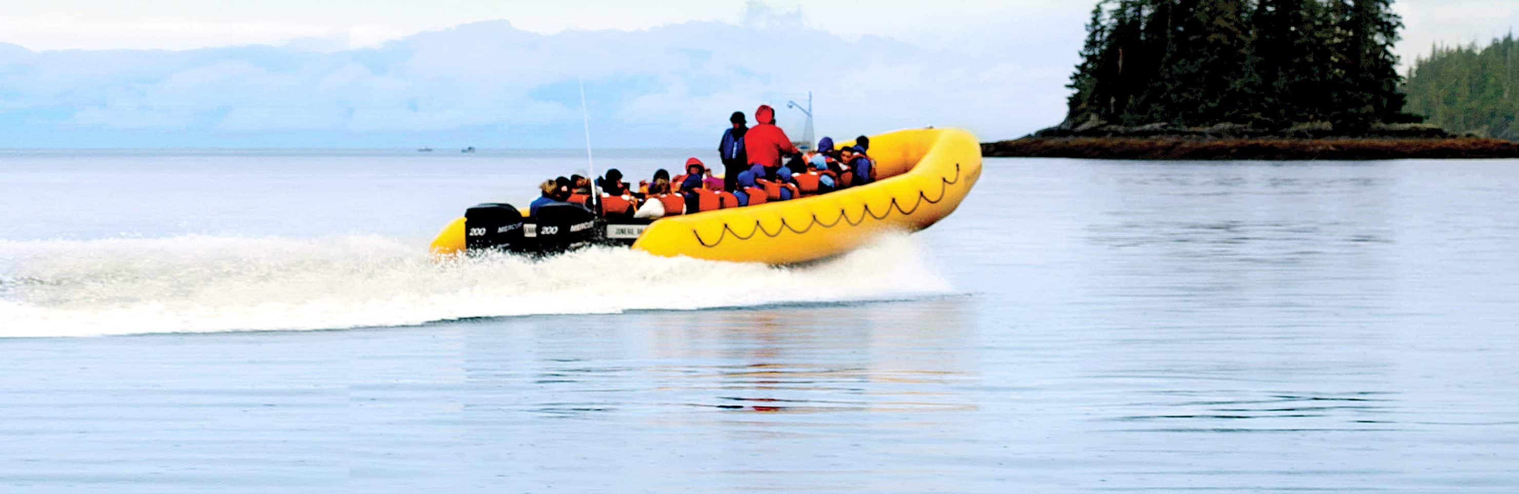 Rain Forest Island Nature Walk & Seahawk Adventure