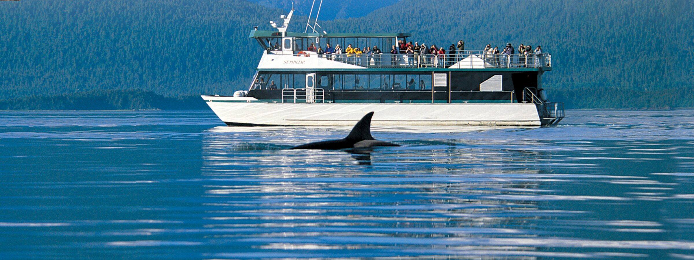 Guide to Alaska Wildlife – Animals, Birds, Mammals