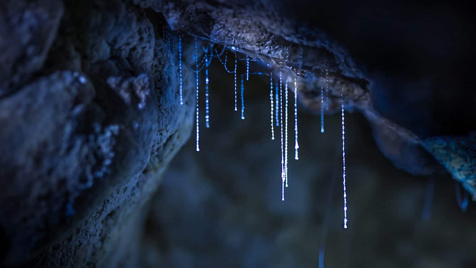 Waitangi (Bay of Islands), New Zealand