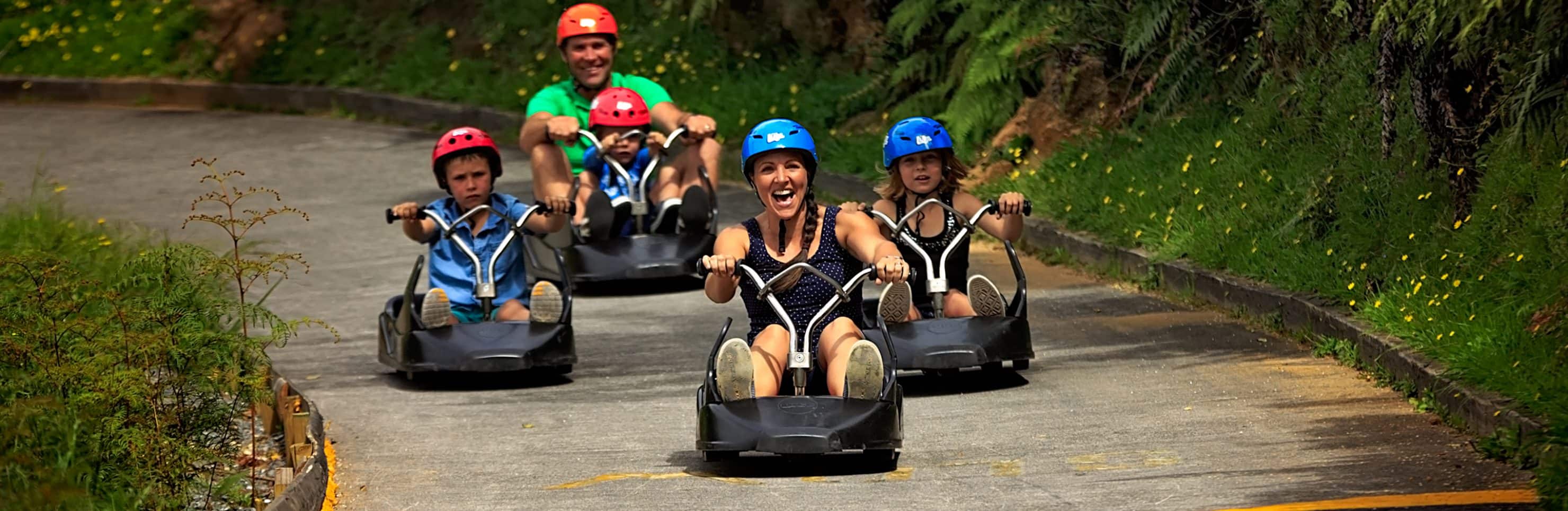 Skyline Gondola & Luge
