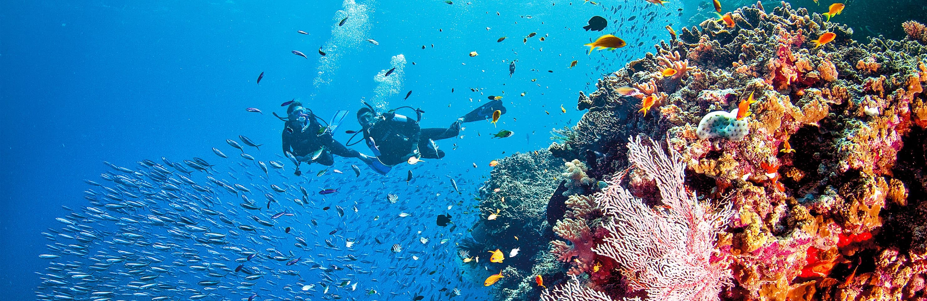 The Great Barrier Reef Tour