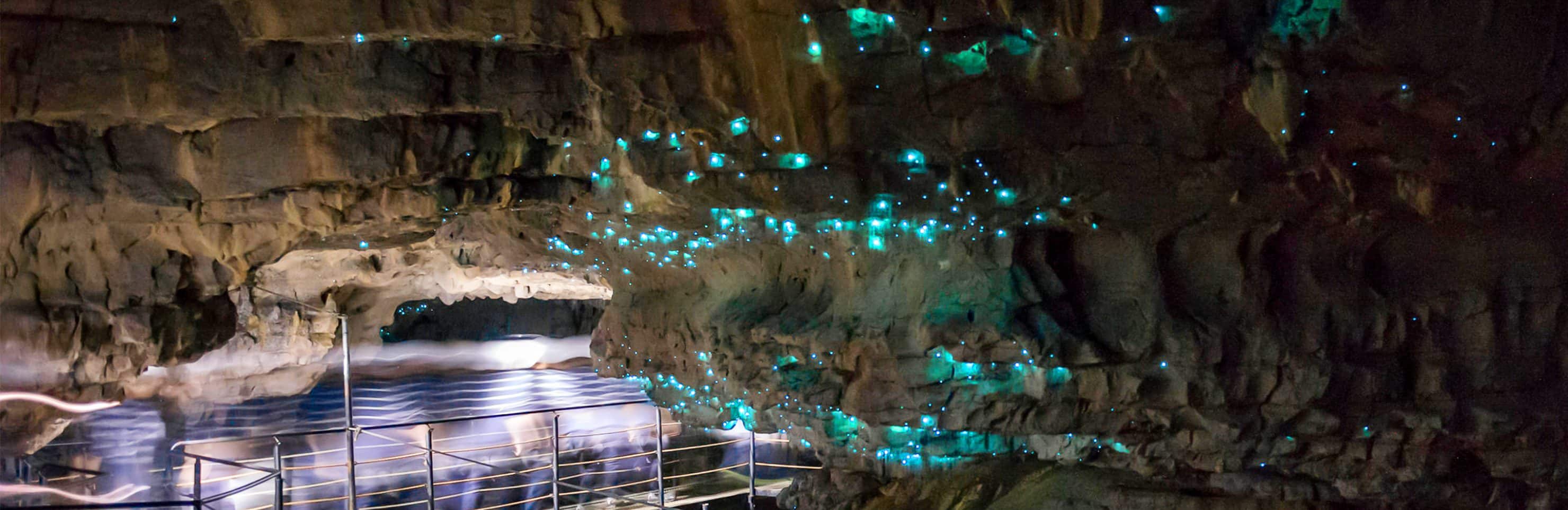 Waitomo Glow-Worm Cave