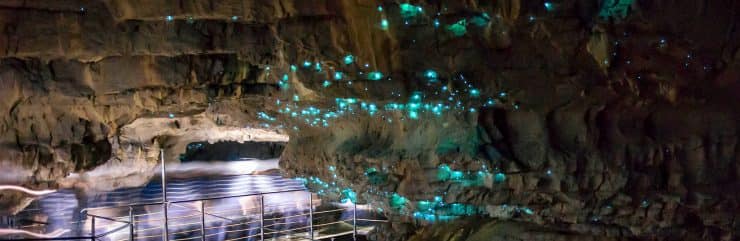 Waitomo Glow Worm Cave & Transfer to Auckland Airport