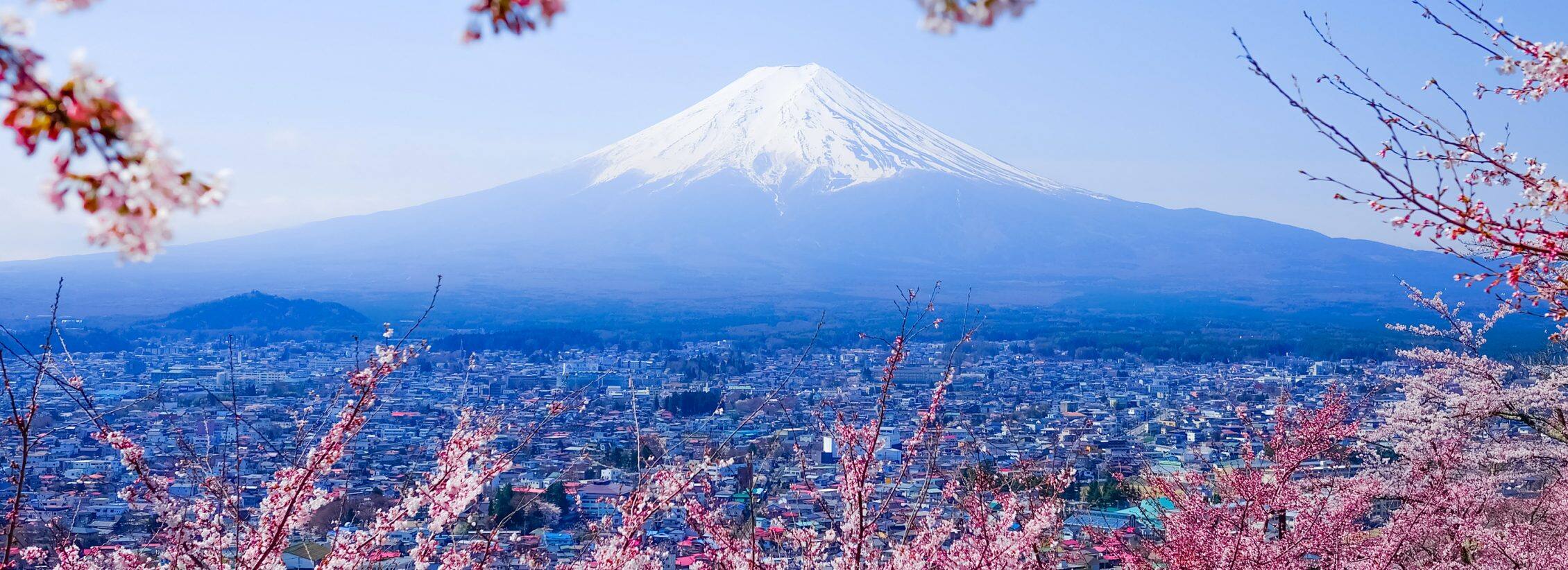 Cruises To Shimizu, Japan Cruises