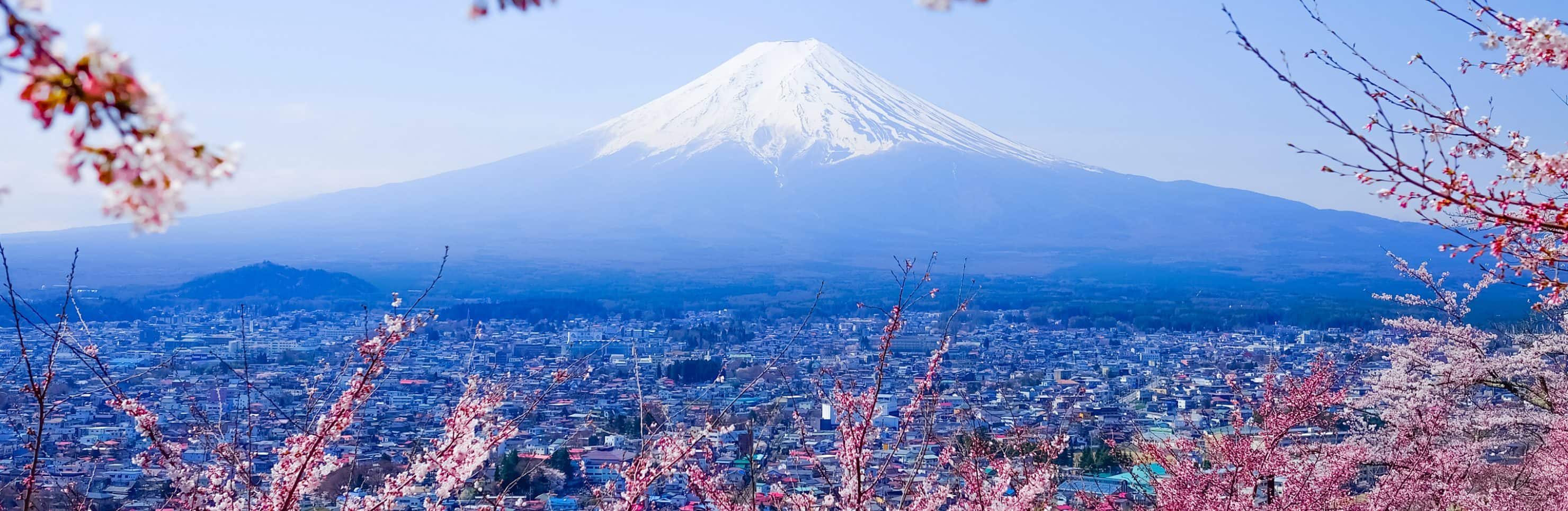 Fujisan Hongu Sengentaisha Shrine & Mt Fuji World Heritage Centre