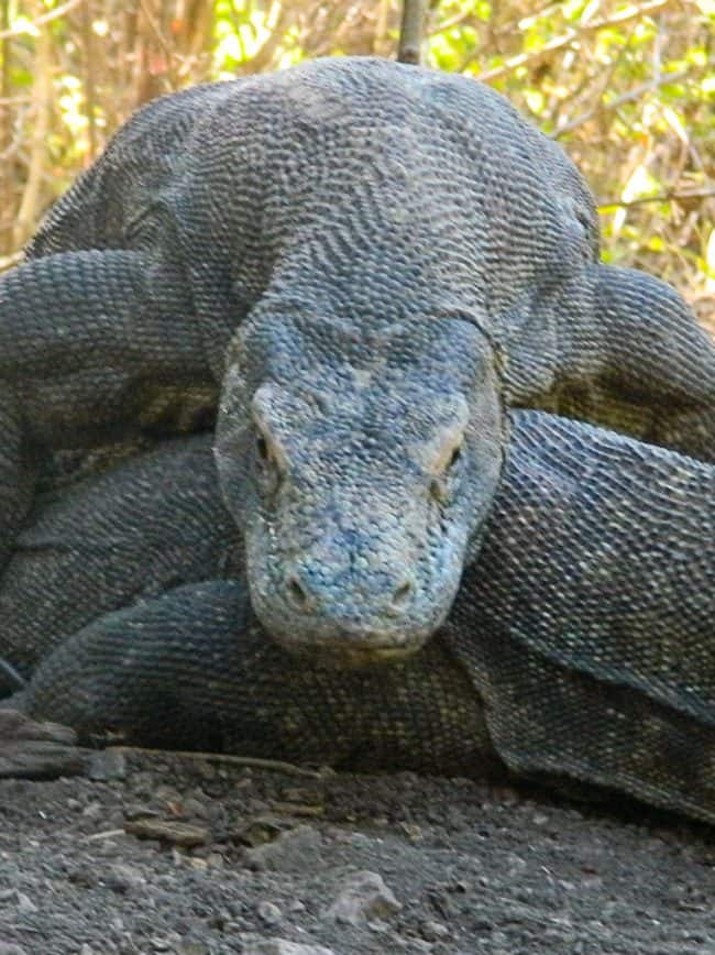 Slawi Bay, Komodo Island, Indonesia
