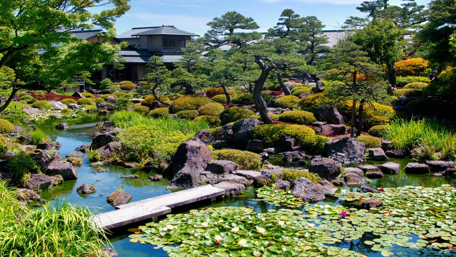 Cruises To Hong Kong Harbor Scenic Cruising