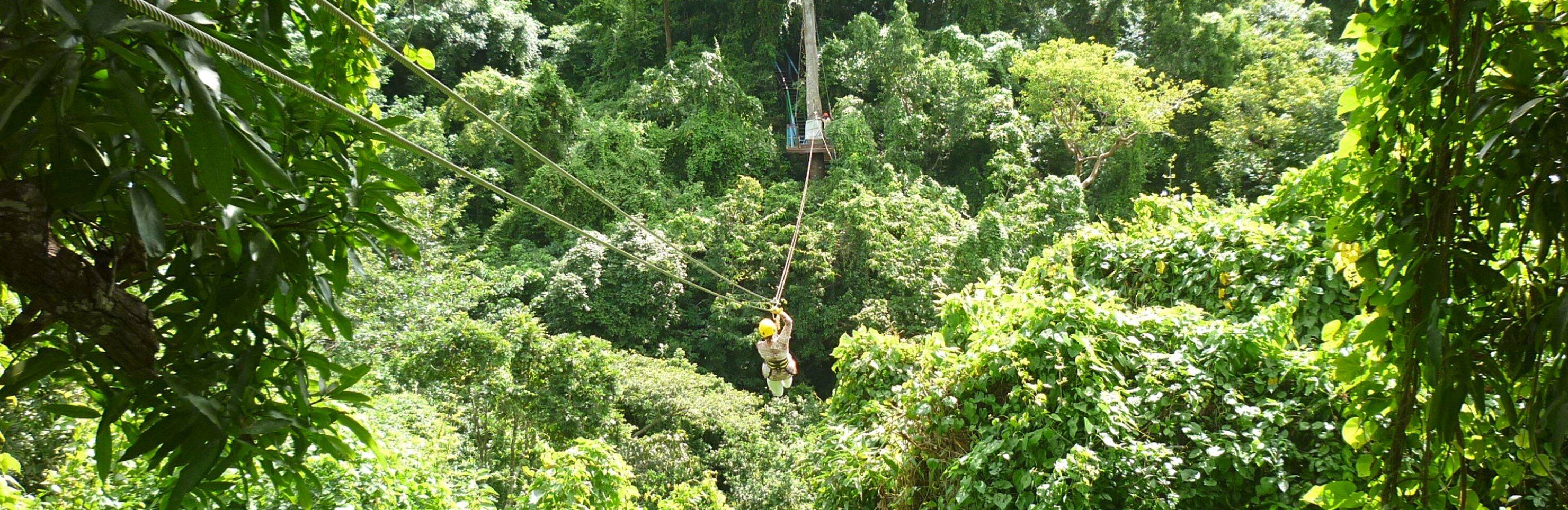 Antigua Canopy Zip-Line