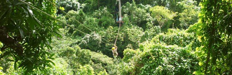 Antigua Canopy Zip-Line