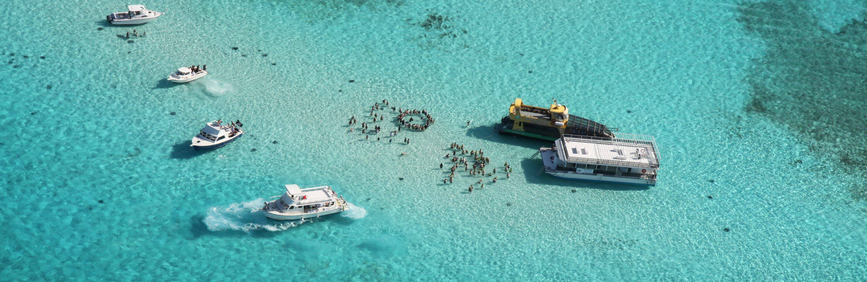 Allura Catamaran Sail to Stingray Sandbar