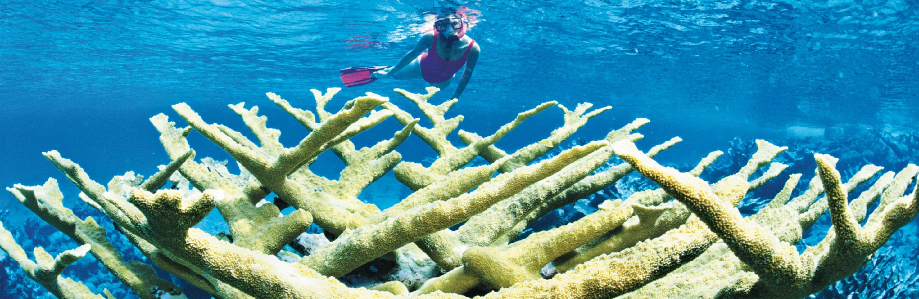 Bajari Beach Escape: All Inclusive