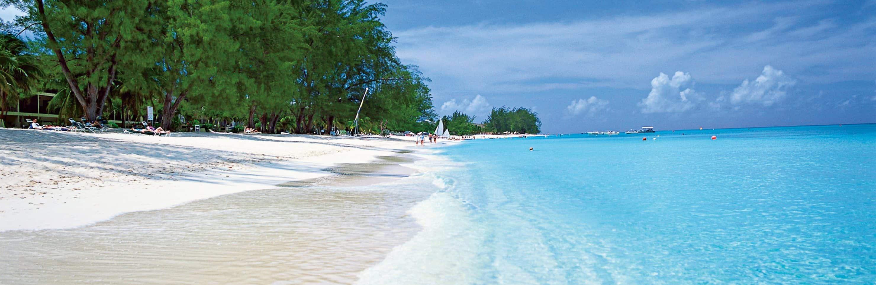 Cayman Sightseeing Adventure