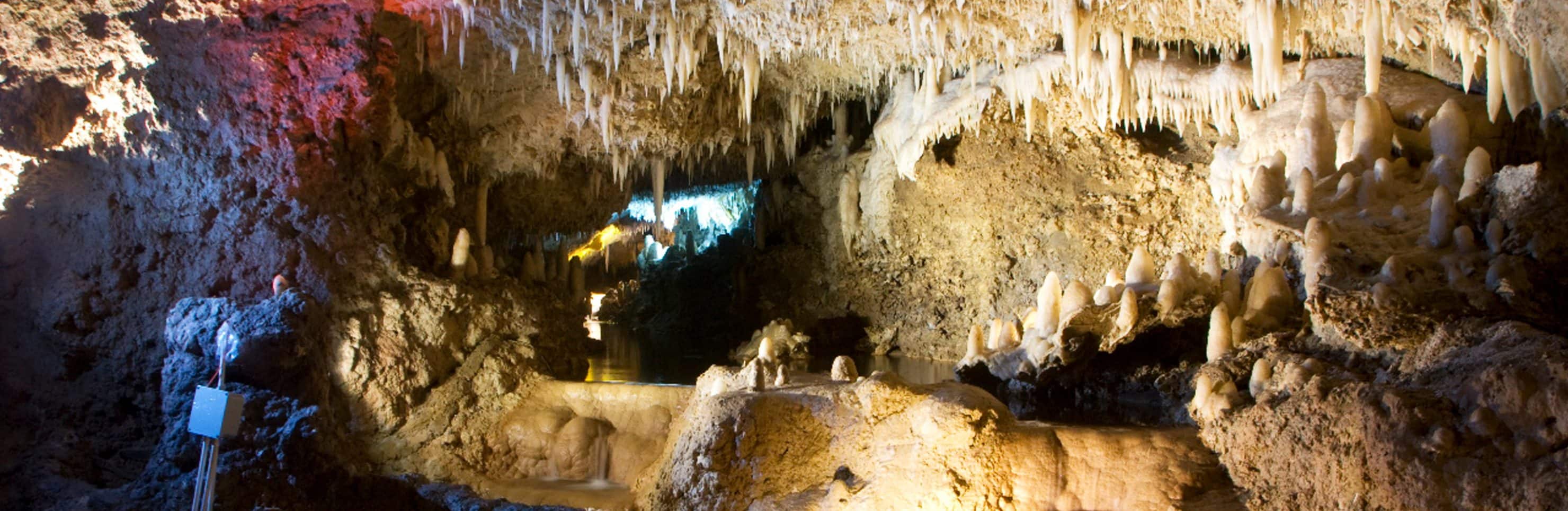 Harrison's Cave Signature Park Pass