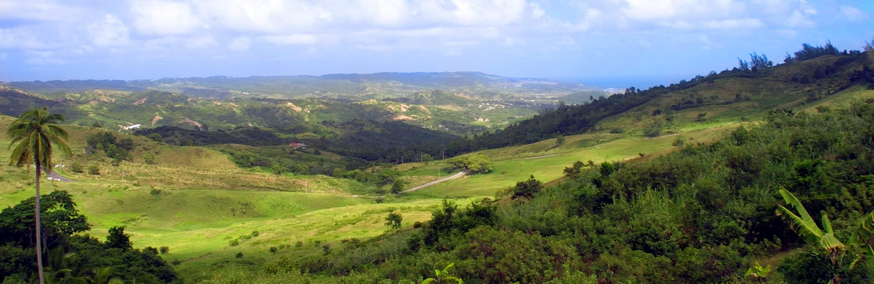 Natural Wonders of Barbados