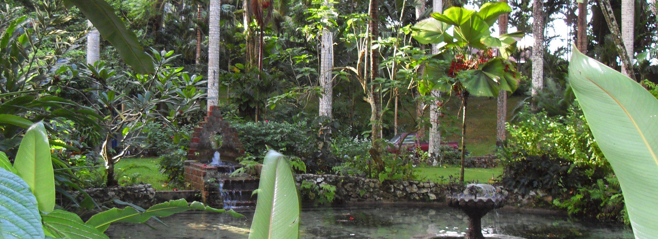 Cruises To Discover Ocho Rios, Jamaica: Beaches, Waterfalls, and Reggae