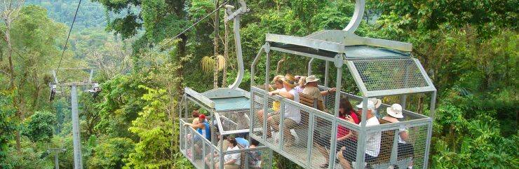 Veragua Rain Forest Aerial Tram & the Original Canopy Tour Combo
