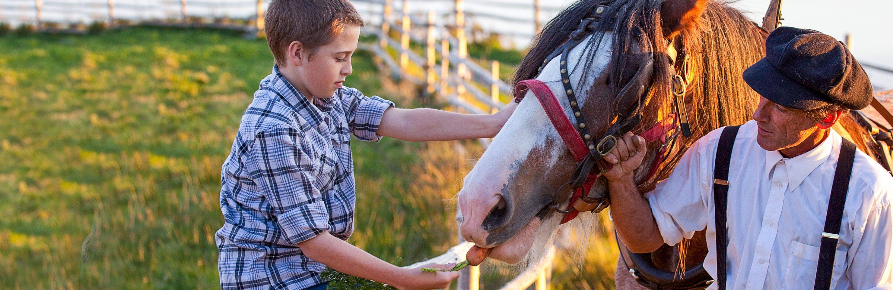 The Bra's d'Or Lakes: Heart of the Island