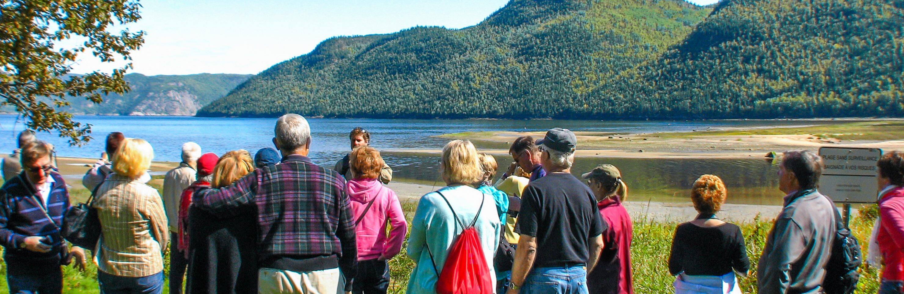 A Stroll in the Park