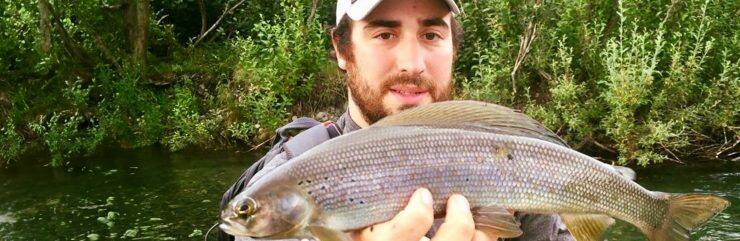 Denali Fly Fishing for Arctic Grayling (4 hour)
