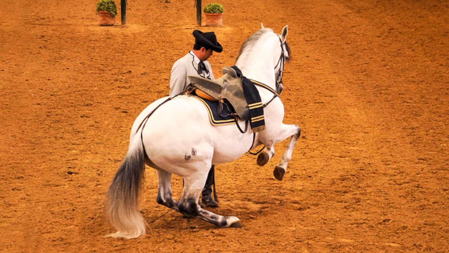 Cadiz (Seville), Spain