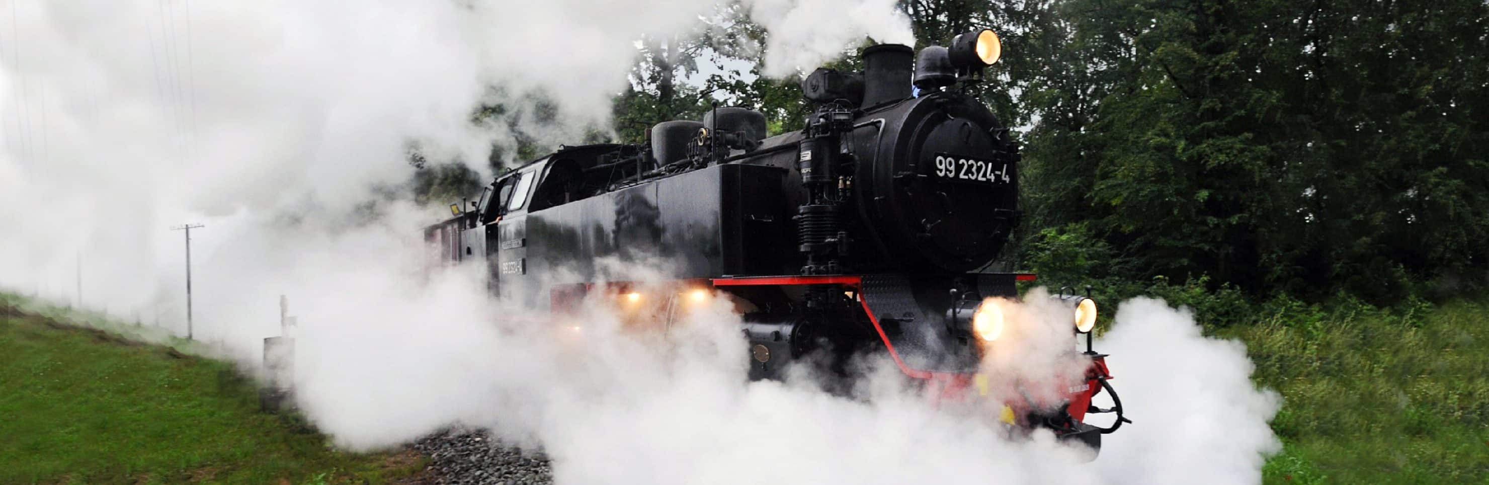 Historic Mecklenburg & Molli Steam-Train Ride